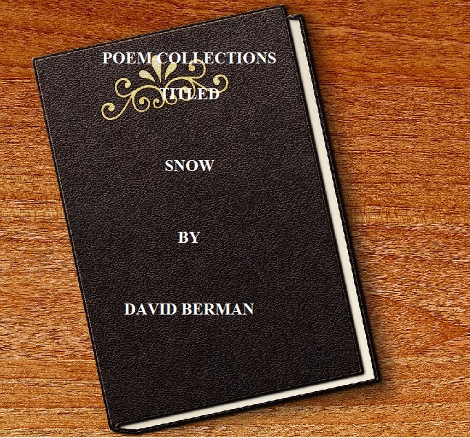 Summary of David Berman’s Poem “Snow” - Reseach Kings