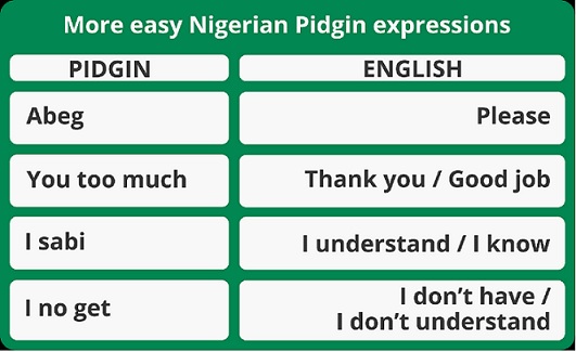 Morphological features of Nigerian English and it's implications for ...